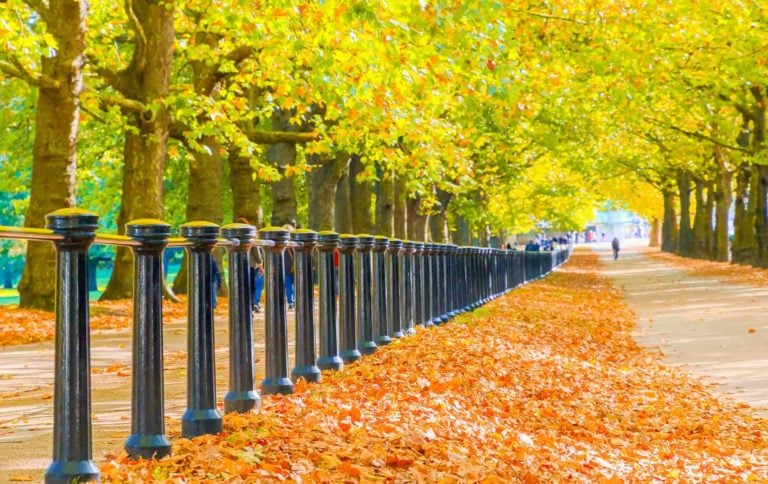 Fall Foliage In London: 6 Places you Must See on your Autumn Trip ...