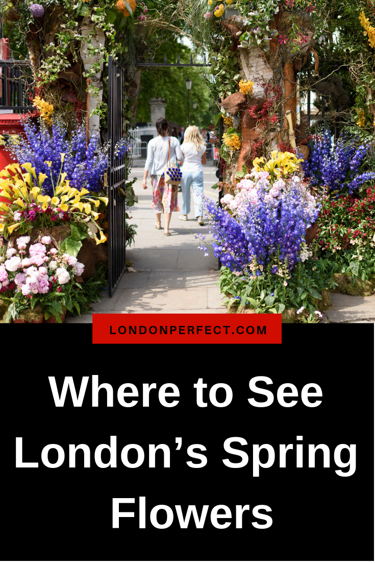 Blooming London: Where to See London’s Spring Flowers - London Perfect