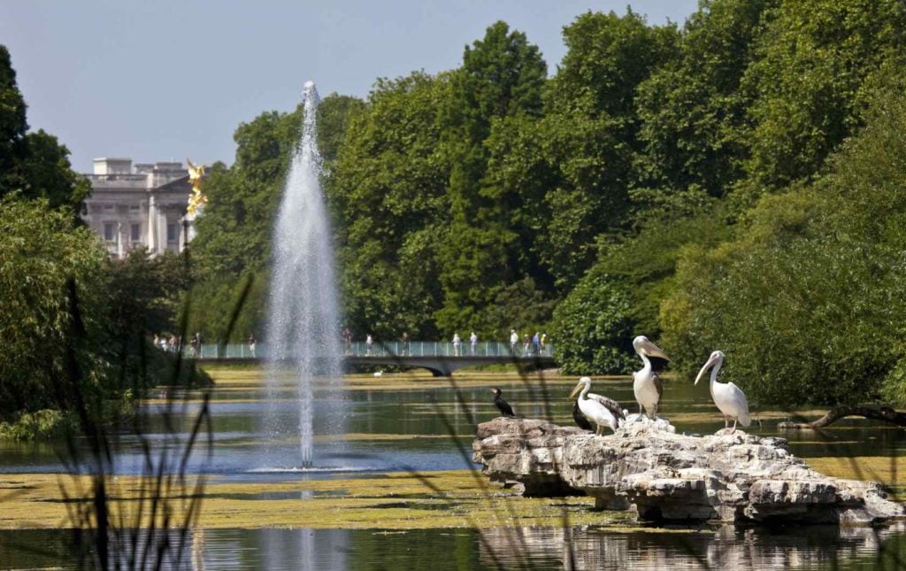 Wild London: Where To Find Wildlife In London - London Perfect