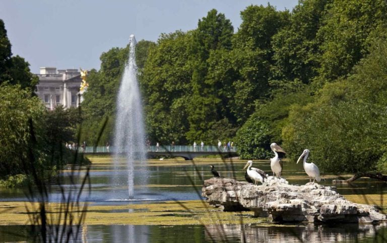 Wild London: Where To Find Wildlife In London - London Perfect