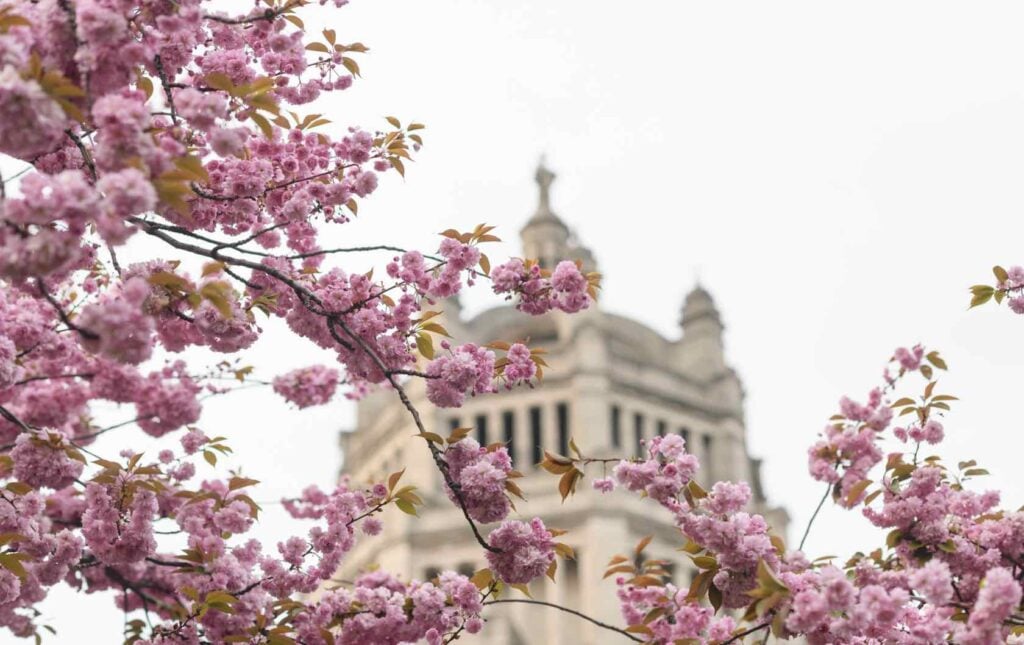 Don't Miss the Spring Blooms in Kensington and Chelsea - London Perfect