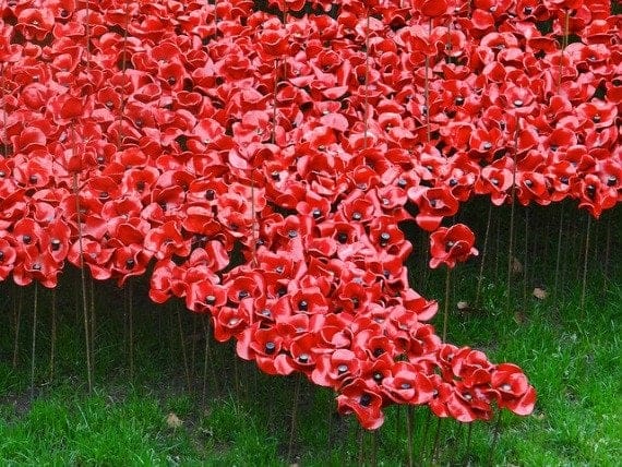 A Dramatic Field of Poppies at the Tower of London - London Perfect